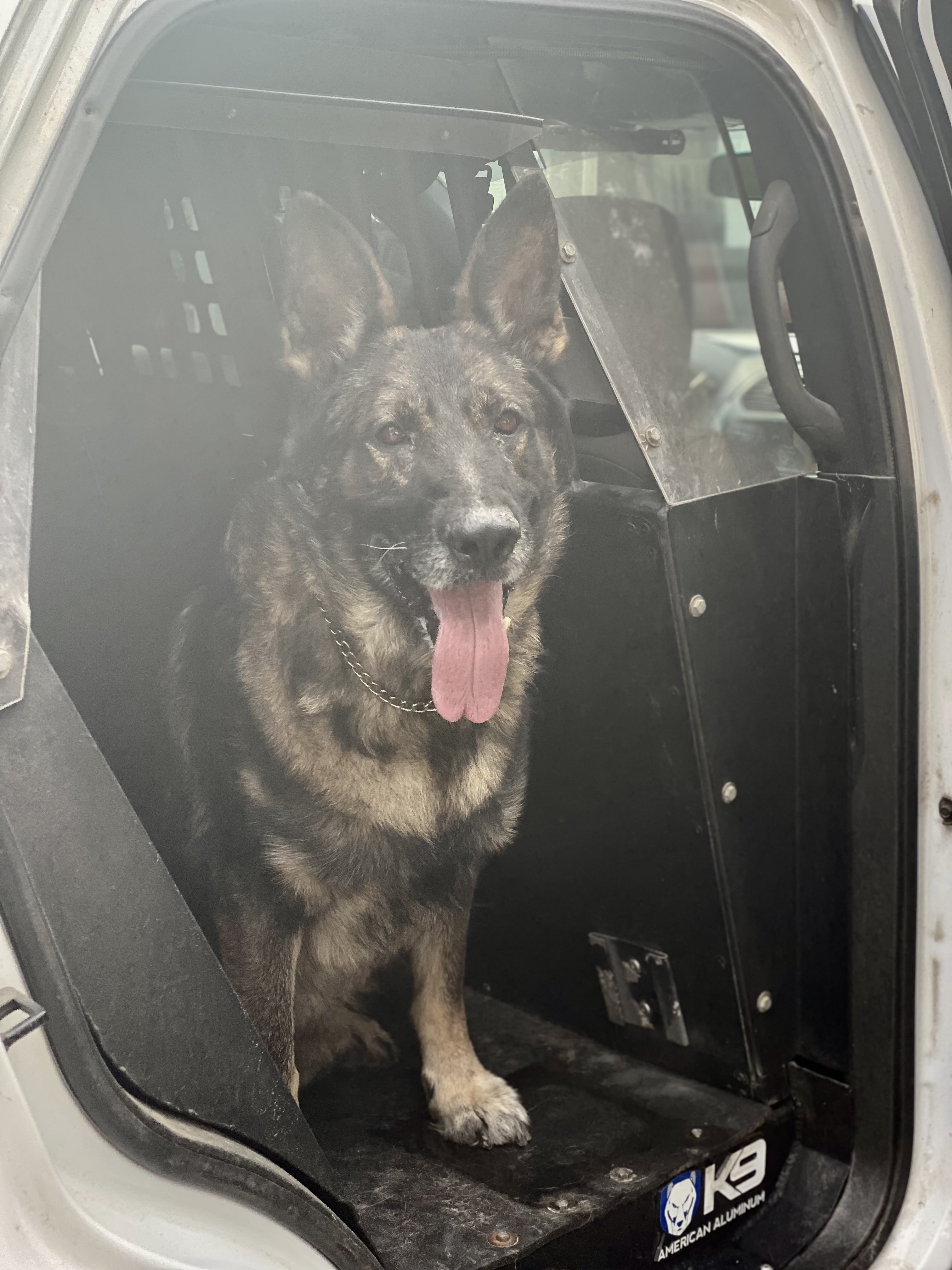 Retired Police Canine Foundation