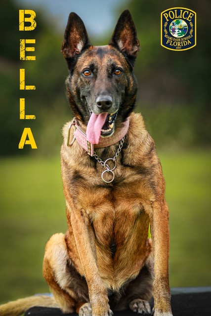 Retired Police Canine Foundation