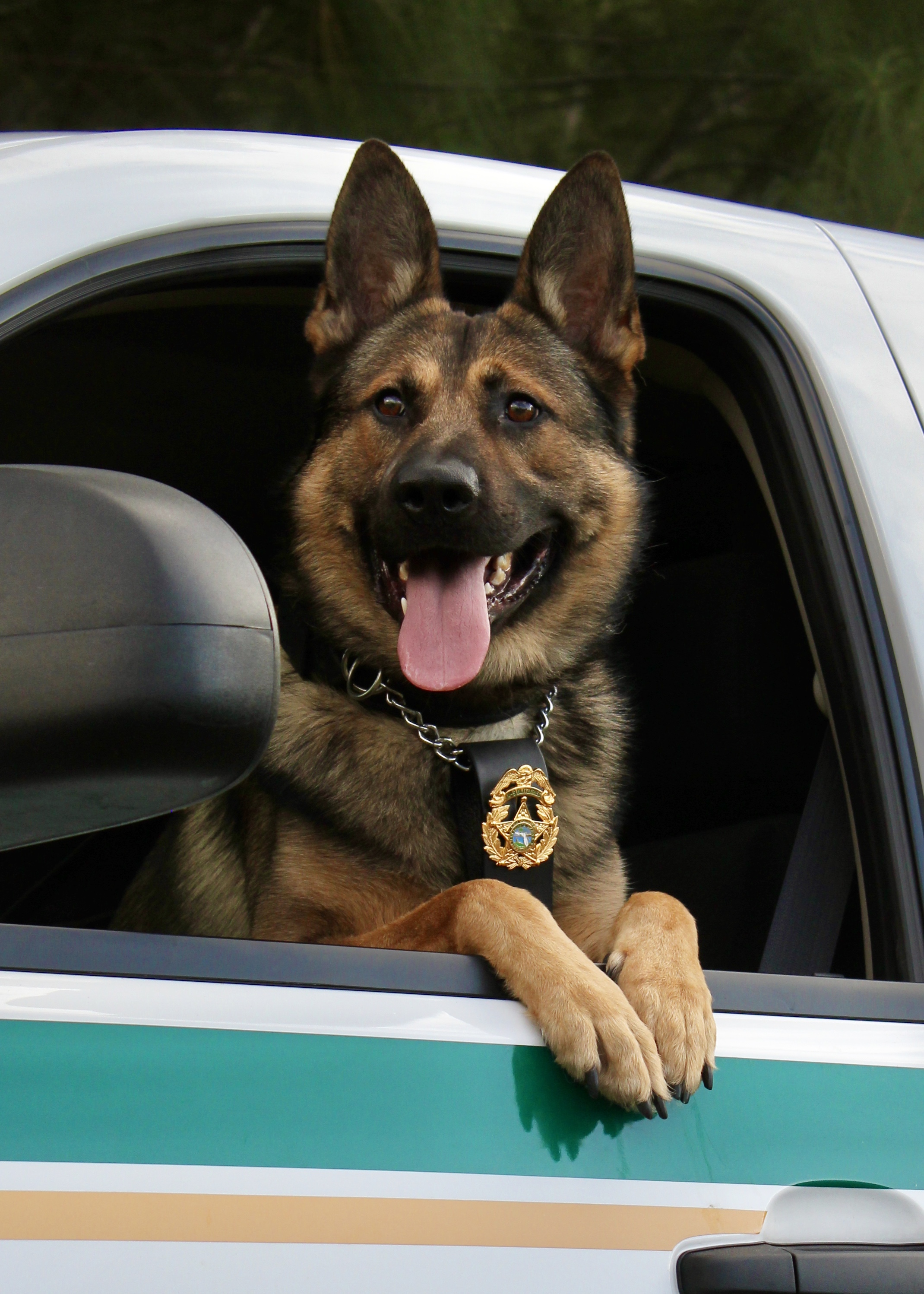 Retired Police Canine Foundation