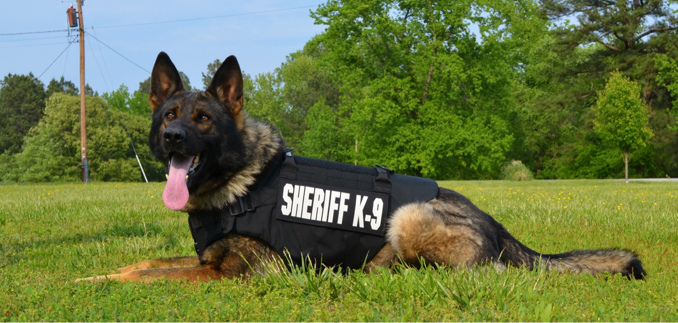 Retired Police Canine Foundation