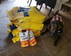 Retired Police Canine Foundation