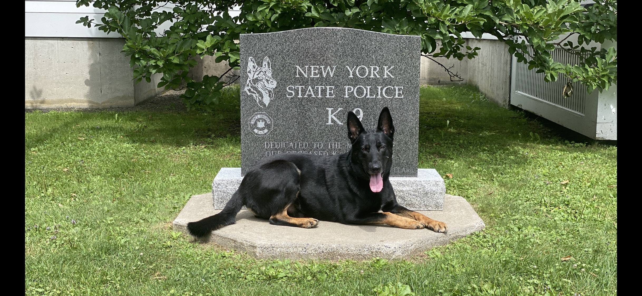 Retired Police Canine Foundation
