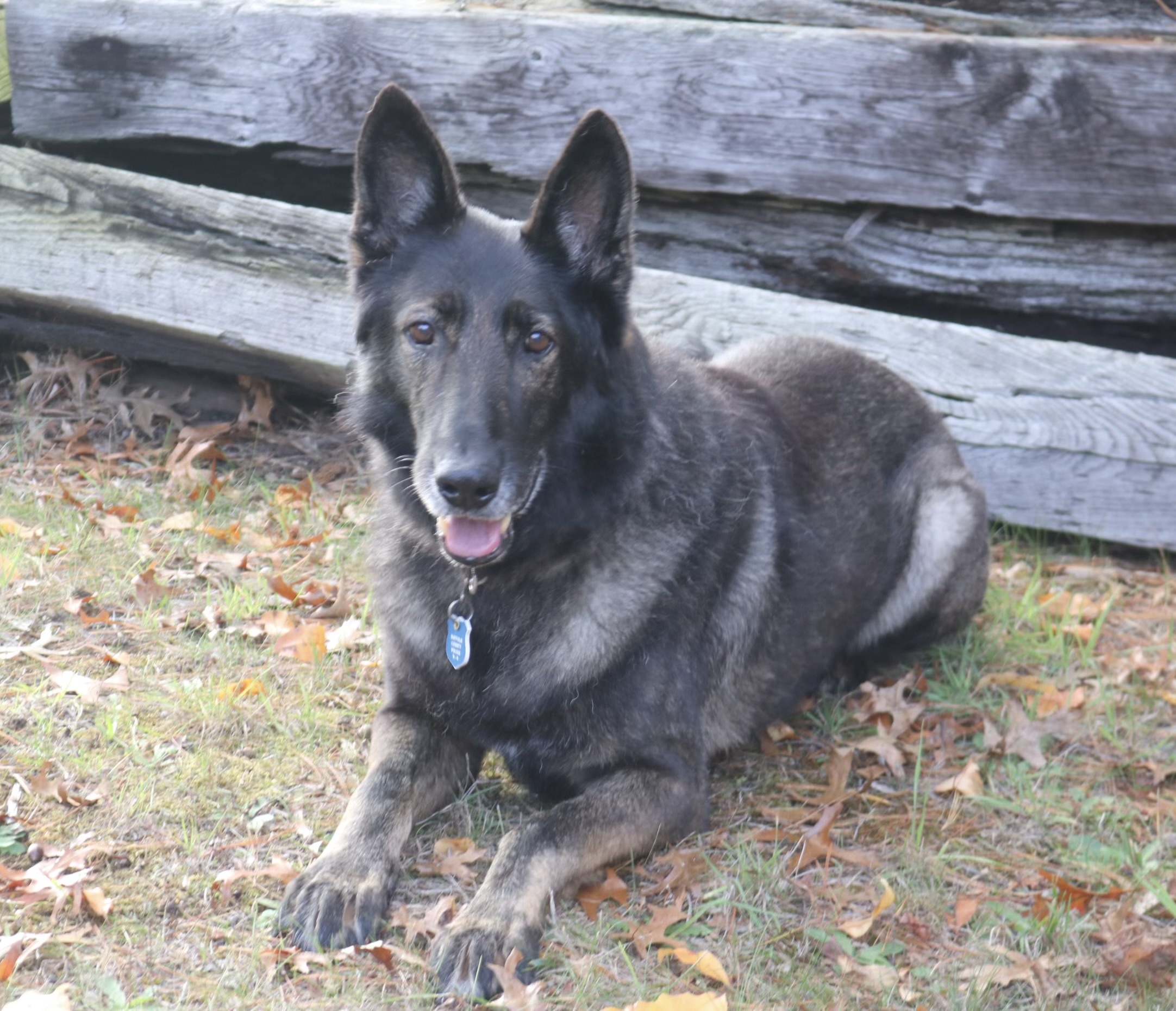 Retired Police Canine Foundation
