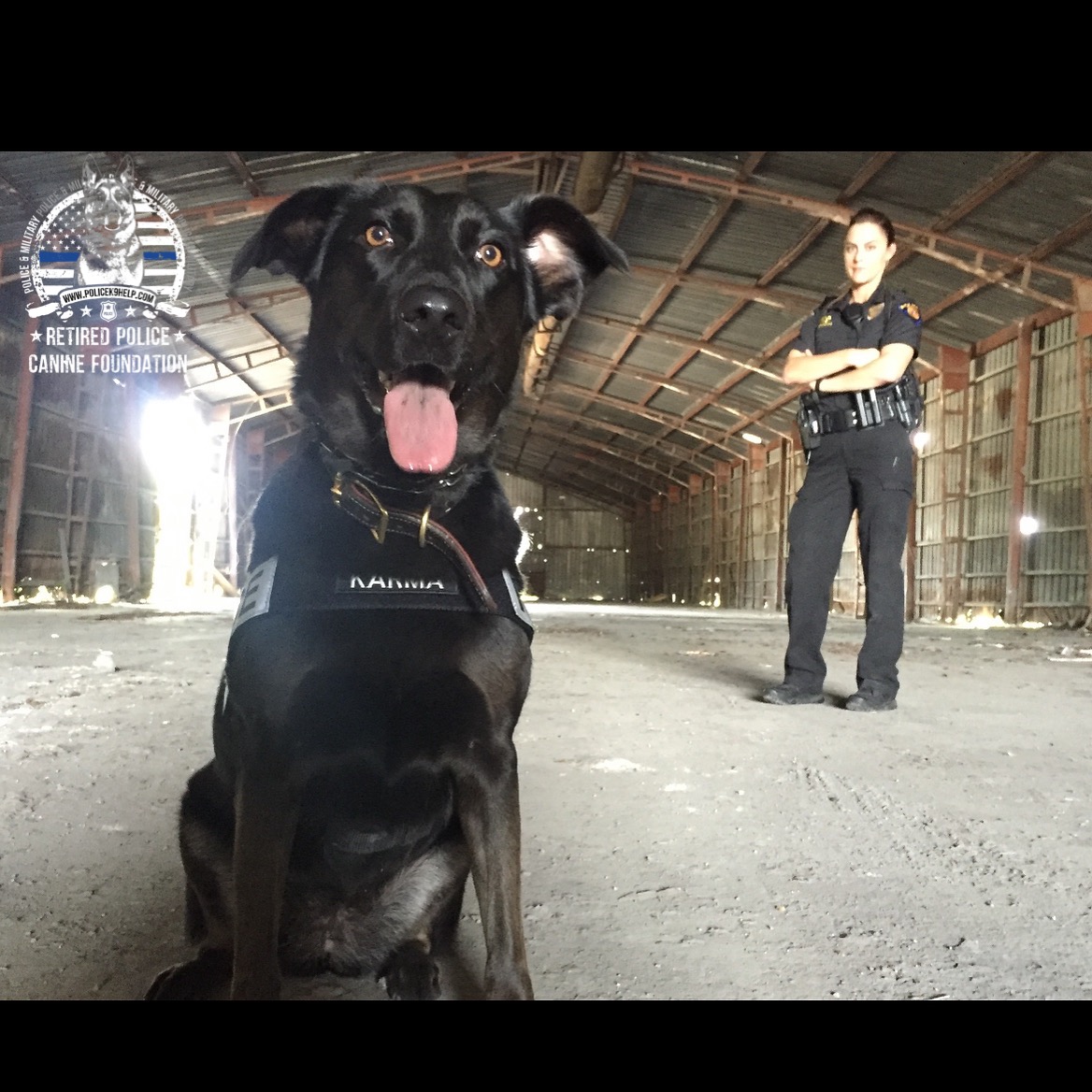 Retired Police Canine Foundation