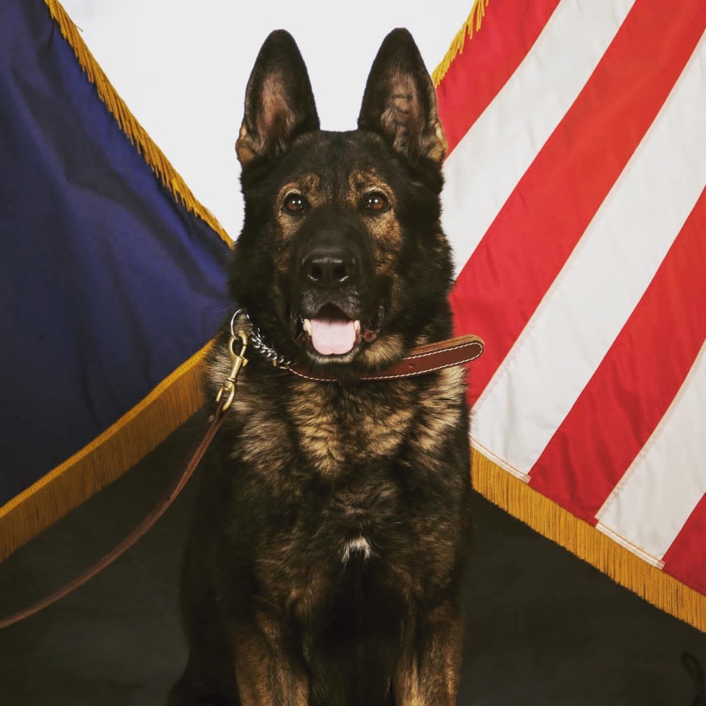 Retired Police Canine Foundation