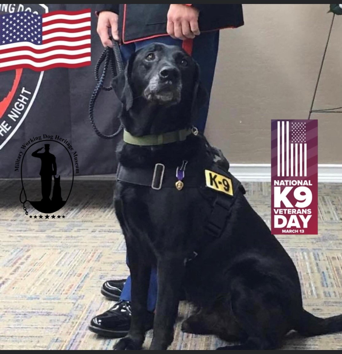 Retired Police Canine Foundation